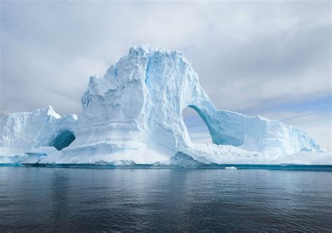 ¿dónde Está El A81 El Iceberg Gigante Que Se Encuentra A La Deriva