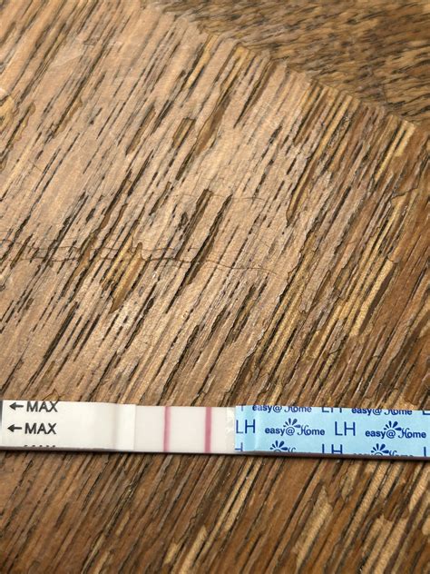 Ovulation Test Strip Positive Or Negative Rfamnnfp