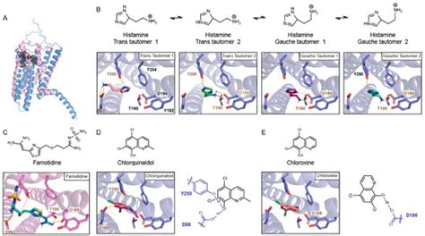 Biosensors Special Issue Genetically Encoded Small Molecule Biosensors And Their Applications