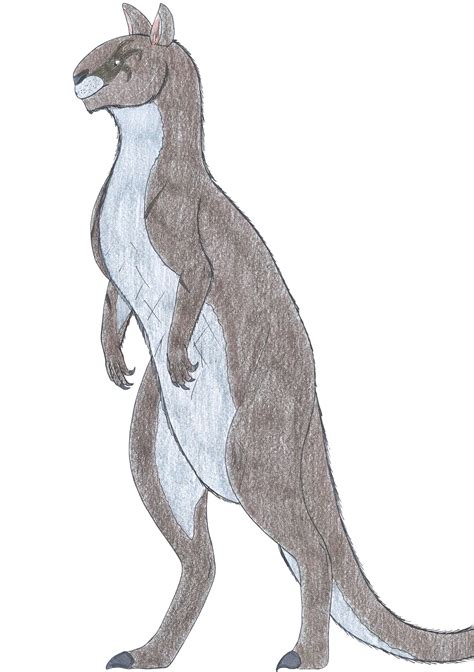 Procoptodon By Suchomimus62 On Deviantart