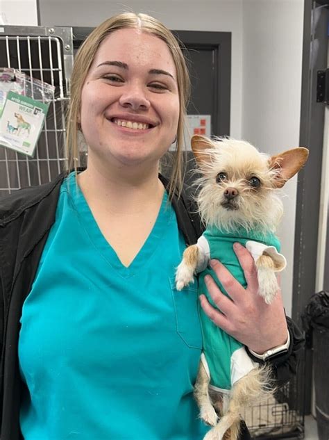 Jordan Lindsey On Linkedin Vet Veterinarian Vetlife Vetmed