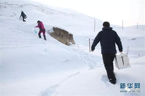 致敬在雪崩最频繁处坚守探访全国唯一的积雪雪崩研究站 搜狐大视野 搜狐新闻