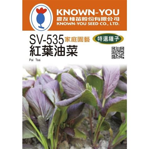 【台灣出貨 附發票】紅葉油菜 種子 2g 菜籽 種菜 水耕 原包裝 農友 空中花園藝世界 特選種子 Sv 535 蝦皮購物