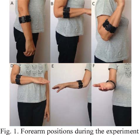 Figure 1 From Classification Of Forearm Movements Based On Kinematic Parameters Using Artificial
