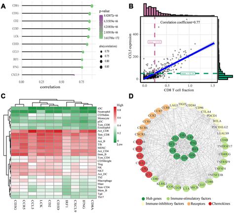 Identification Of Biomarkers Related To Cd8 T Cell Infiltration With