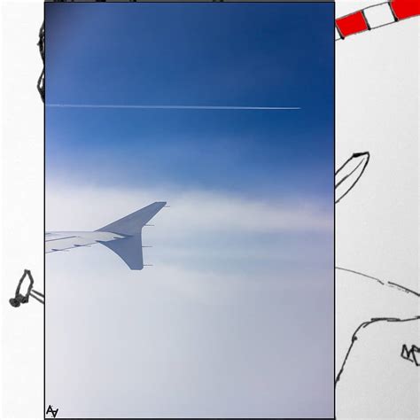 Parallel Paths The Apex Doctor