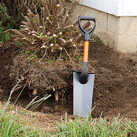 10 Useful Tools Every Gardener Must Have Site For Everything