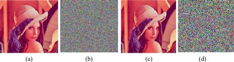 the testing result of key sensitivity a the plain image of lena b the
