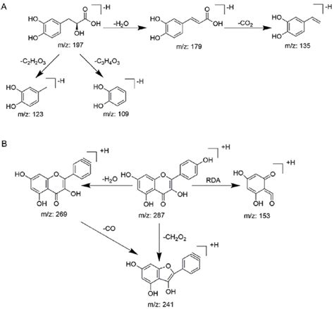 The Fragmentation Pathway Of Danshensu And Kaempferol A The