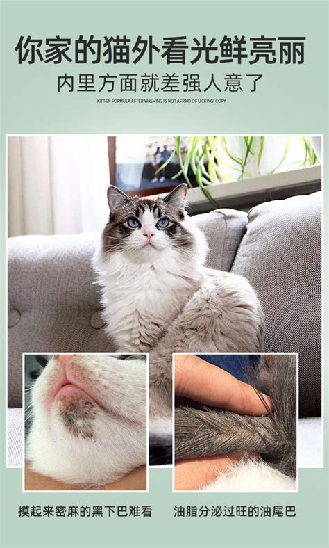 雪貂留香猫多爱猫咪去油膏100g猫咪沐浴露毛发护理去黑下巴油尾巴 阿里巴巴