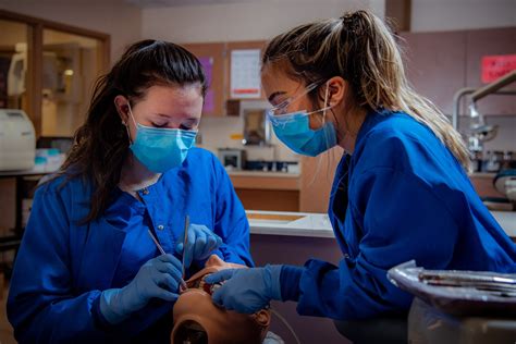 Métier Dentiste Formation Salaire Opportunités Formaland