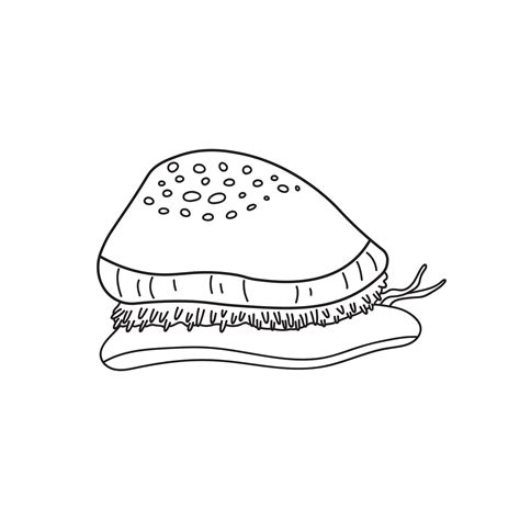 Hand Drawn Cartoon Vector Illustration Cowry Icon Isolated On White