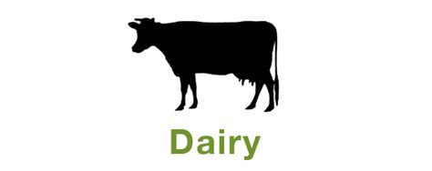 Beef Cpc Feeds