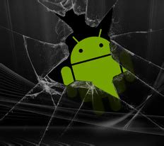 Symfony Angularjs React Gulp Phpstorm
