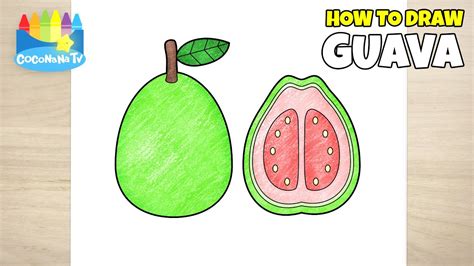 Guava Fruit Drawing