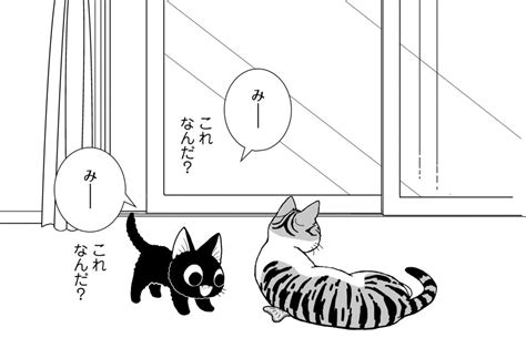 スーと鯛ちゃん こなみかなた 第113話 なーんだ・なんだ？ コミックdays