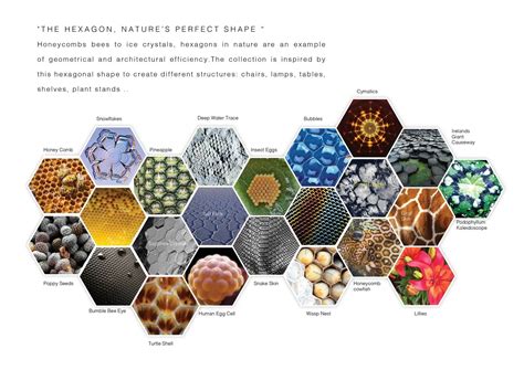 How To Create A Spring Homeschool Science Hexagon Patterns In Nature