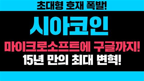 시아코인 초대형 호재 폭발 마이크로소프트에 구글까지 15년 만의 최대 변혁 시아코인코인 시아코인시세 시아코인호재 시아코인속보 Youtube