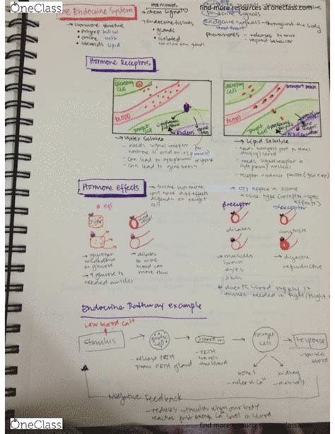 Biol Lecture Oneclass