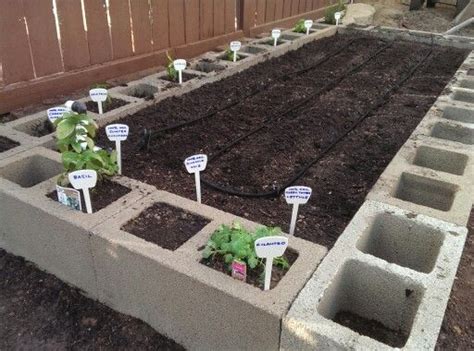 Using Cinderblocks To Make My Raised Garden Raised Garden Garden