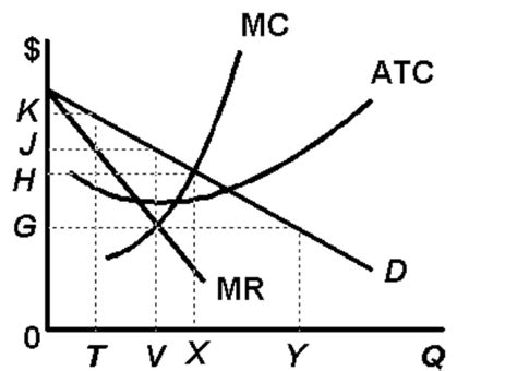 solved refer to the graph this profit maximizing monopolist