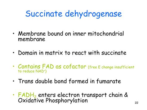 Ppt The Tricarboxylic Acid Cycle Krebs Cycle Citric Acid Cycle