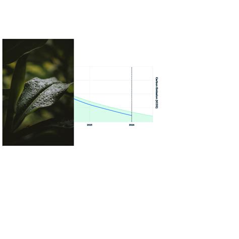 Carbon Emissions Management Software Scope 3 Emissions And Cbam Compliance