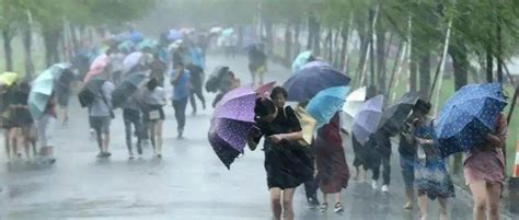 大到暴雨！大连气象最新发布降雨金普局部