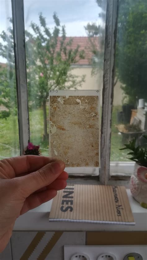 Soil Thin Sections From The Netherlands Terrascope