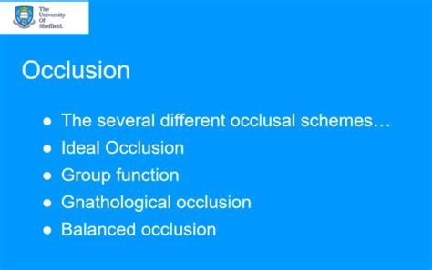 3rd Occlusion Lecture On Ideal Occlusion Flashcards Quizlet