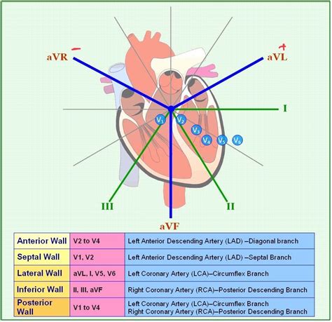 Ekg Interpretation For Nurses Artofit