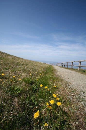 Erimo Japan Web Magazine