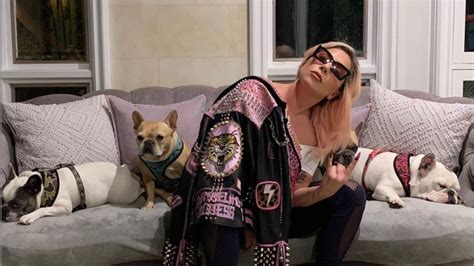 Man Who Shot Lady Gagas Dog Walker Sentenced To 21 Years In Jail Us