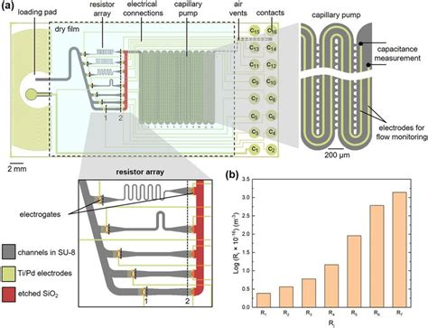 Layout Illustrating The Integration Of A Programmable Hydraulic Download Scientific Diagram