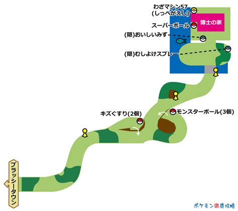 『2番道路』出現ポケモンとマップ｜剣盾攻略｜ポケモン徹底攻略