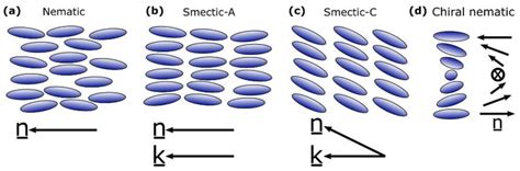 Schematics Of A The Nematic Phase B The Smectic A And C