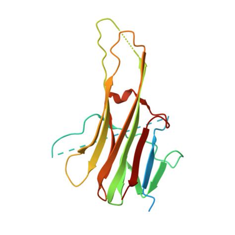 Gene P50591 Protein Tnfsf10 Overview Cansarai