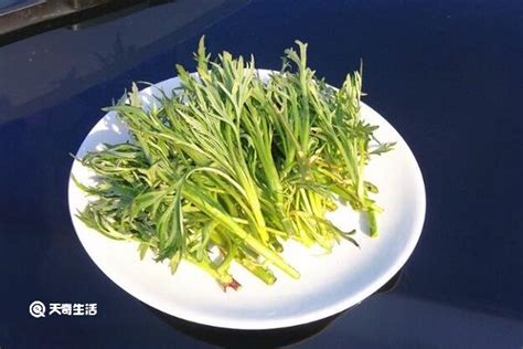 柳蒿芽的功效与作用 柳蒿芽主要有什么功效 天奇生活
