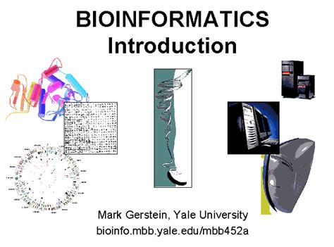 Bioinformatics Introduction