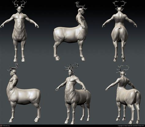Stag Centaur Lion Sculpture Character Inspiration Centaur