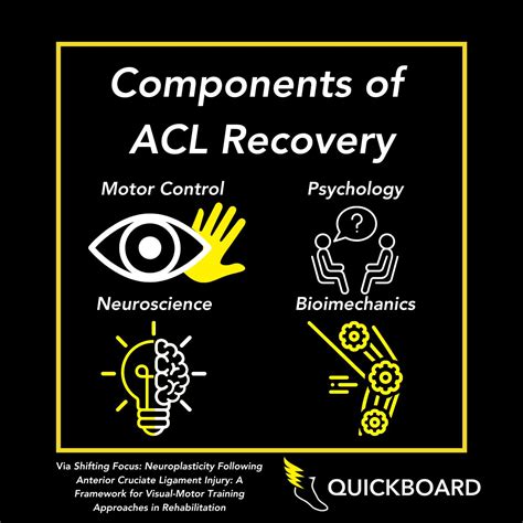 Physicaltherapy Neuroplasticity Acl Aclr Recovery Improvement