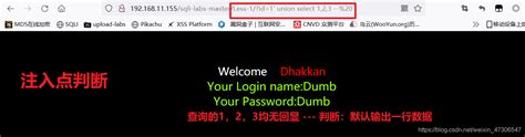 Sqli Labs Master 过关 1 10 （附解题思路及各注入方法解析）lfi Labs Master闯关 Csdn博客