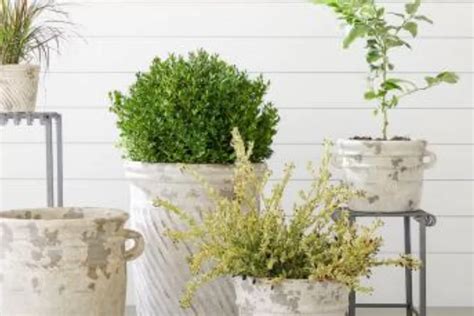 5 Best Rectangular Planters For Your Garden