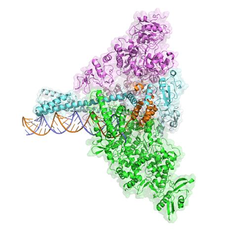 Project 5 Pandemic Virus Helicase Inhibitors Midwest Antiviral Drug