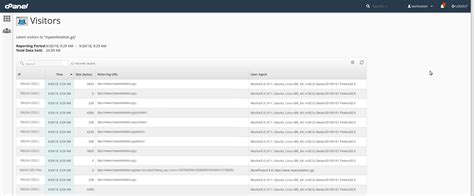 visitantes cpanel hostico