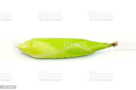 흰색 배경에 고립 된 옥수수의 단일 귀 신선한 옥수수 에 코브 0명에 대한 스톡 사진 및 기타 이미지 0명 가을 개체