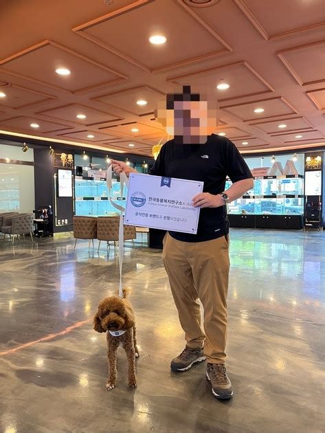 푸들 돌체 티컵말티푸분양하는곳 티컵푸들분양하는곳 티컵강아지분양하는곳 화이트비숑프리제분양 화이트포메라니안분양 화이트말티즈분양 화이트말티푸분양 화이트푸들분양 화이트먼치킨분양