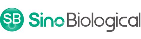 Tumor Exosomes A Messenger For Cancer Progression Whitepaper Technology Networks