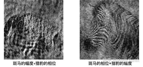 6 傅里叶变换与图像的频域处理 知乎