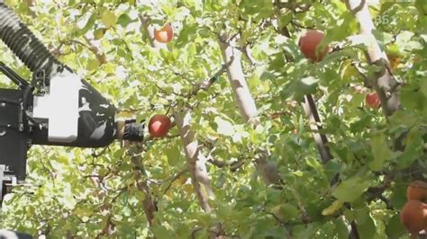 농사짓는데 이미 인공지능을 적극적으로 사용하기 시작한 미국 인스티즈instiz 이슈 카테고리